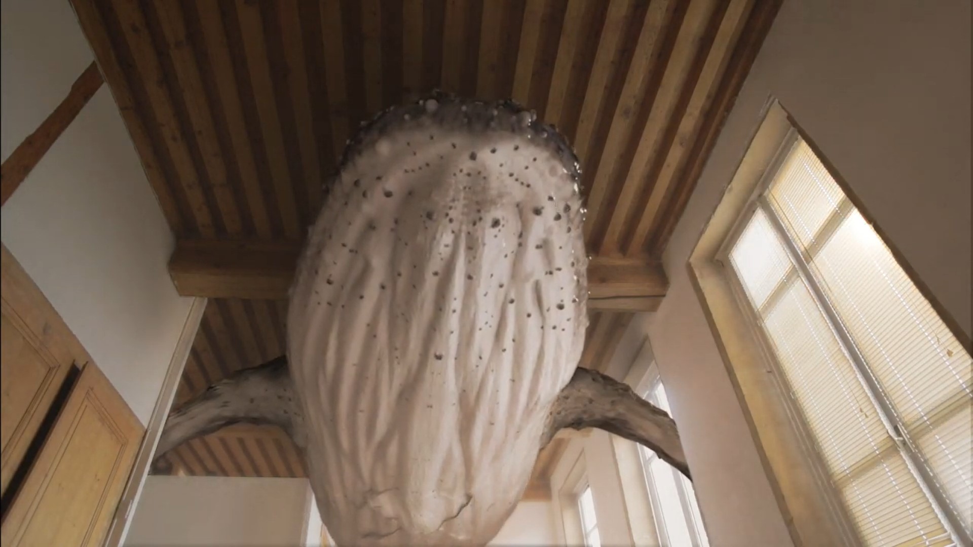 24vids x Ibrida #24. Albert Merino, The sublunar world